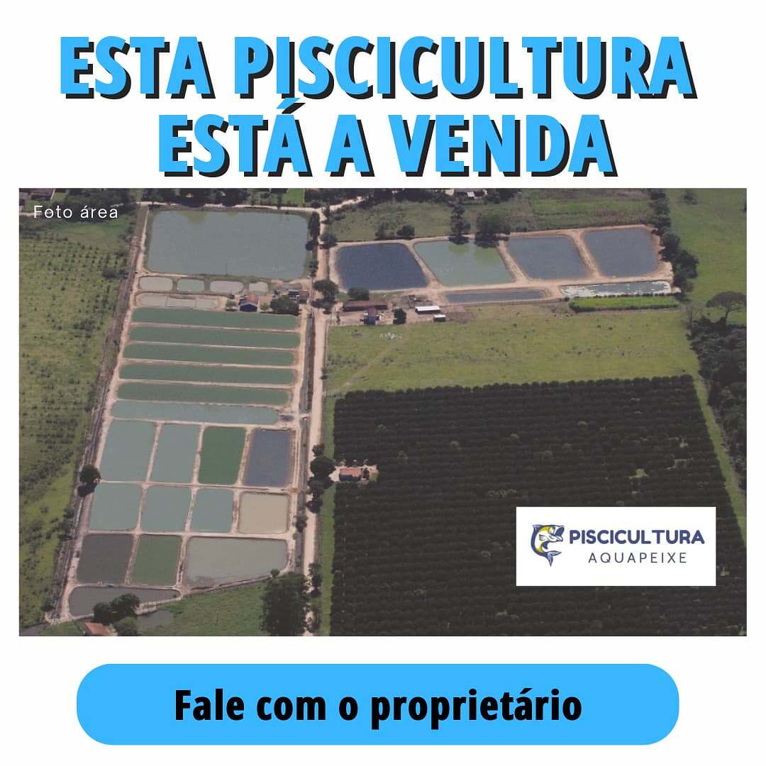 Piscicultura Aquapeixe – Temos Alevinos a pronta entrega, fale conosco ...